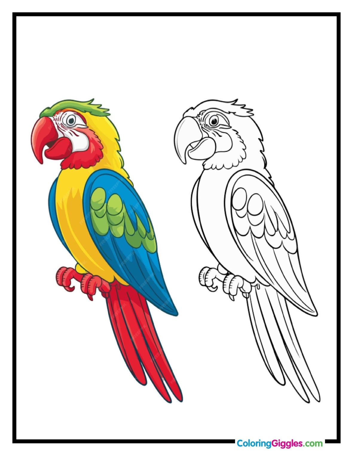 Free Parrot Coloring Pages - Coloring Giggles